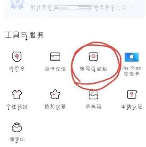 网易大神怎么强制修改二次实名 大神社区强制修改二次实名方法 奇珀网