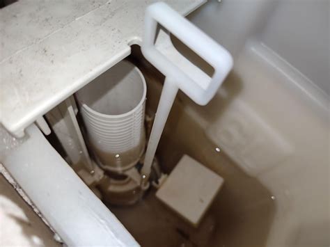 Concealed Cistern Either The Flapper Or The Plastic Chain Dropped