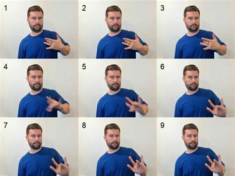Sensitive Asl Dictionary