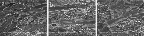 Shows The Sem Morphologies Of The Impact Fracture Surfaces Of Hdpebf