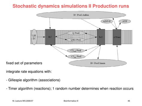 Ppt V18 Stochastic Simulations Of Cellular Signalling Powerpoint Presentation Id5455387