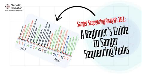 A Beginners Guide To Sanger Sequencing Peaks Genetic Education