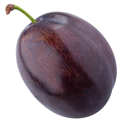 Prugna Slomp Snc
