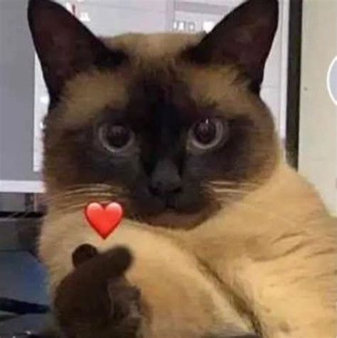 Ý Nghĩa Của Meme Bắn Tim Là Gì Cập Nhật Bộ Meme Thể Hiện Tình Cảm Siêu