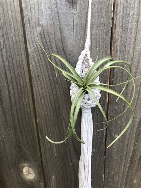 DIY MACRAME POD Pattern Pdf Instructions Learn To Macrame Etsy Canada