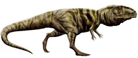 Giganotosaurus Cool Dino Facts Wiki Fandom Powered By Wikia