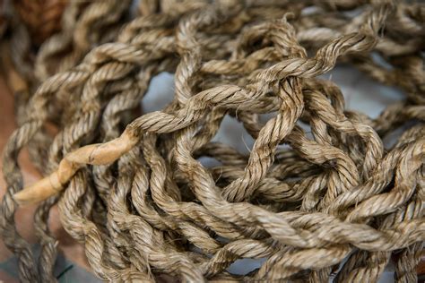 The Long Knotty World Spanning Story Of String Hakai Magazine