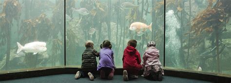 Pearson Resource Centre