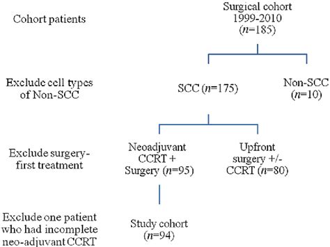 Figure 1 From The Prognostic Value Of Circumferential Resection Margin In Esophageal Squamous