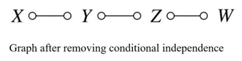 Causal Discover Fci Algorithm