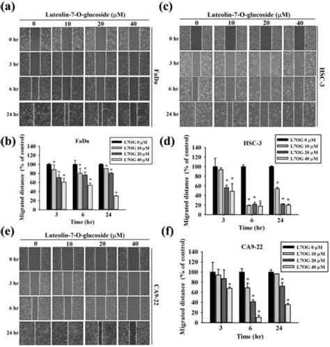 Luteolin 7 O Glucoside Inhibits Oral Cancer Cell Migration And Invasion By Regulating Matrix