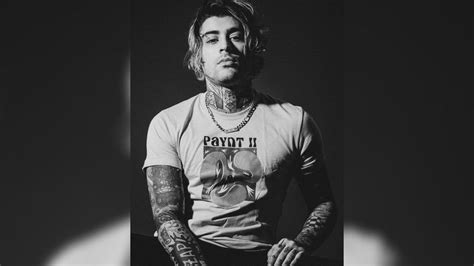 Zayn Malik Looks Dapper As He Poses For Payntbyzayn Collection See Pic