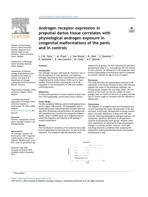Pdf Androgen Receptor Expression In Preputial Dartos Tissue