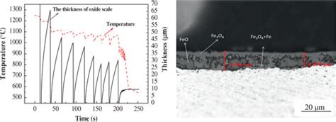 Simulated Relationship Between Temperature And Scale Thickness And The Download Scientific