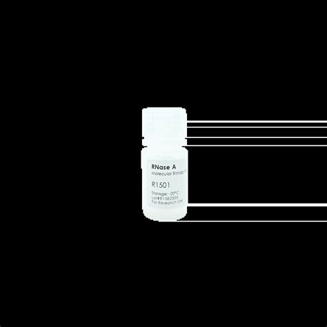 Rnase A Enzyme Lyophilized Dxbidt Enzymes