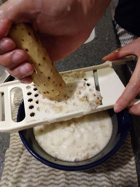 【インフルエンザ予防に】秋の食養生！免疫力アップ＆呼吸機能を整える「長芋とろろ飯」 ヨガジャーナルオンライン