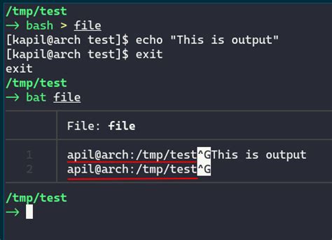 Linux Weird Output When Redirecting Bash Prompt To A File Super User