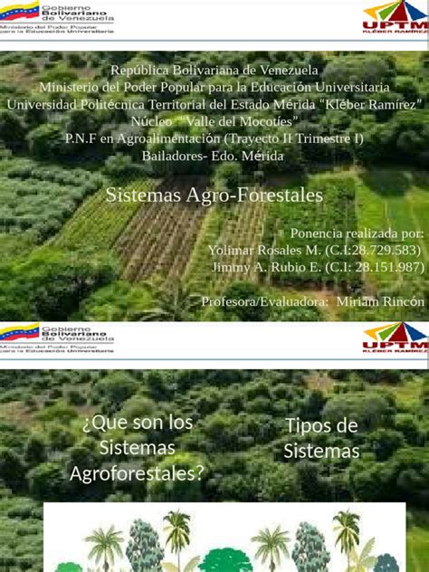 Sistemas Agroforestales Pdf