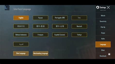 Programming Language Used In Pubg