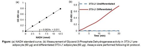 Glycerol 3 Phosphate Dehydrogenase Activity Colorimetric Assay Kit
