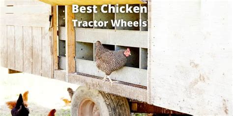 Top 10 Best Chicken Tractor Wheels 2025