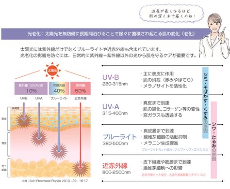 光老化ってなに？ 4月・5月のワンポイントアドバイス あい皮膚科クリニック｜宇都宮市東峰町の皮膚科・アレルギー科・美容皮膚科