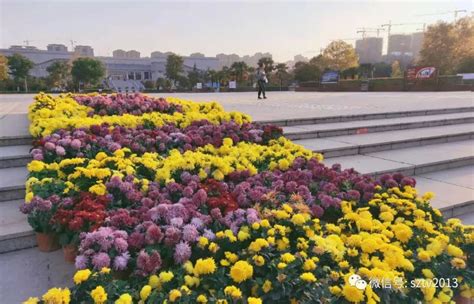 许你一路美景！道路绿化扮靓城市颜值澎湃号·政务澎湃新闻 The Paper