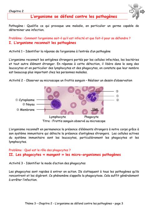 Cours SVT En Ligne