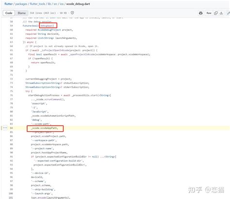 聊聊 Flutter 在 Ios 真机 Debug 运行出现 Timed Out To Update 的问题 知乎