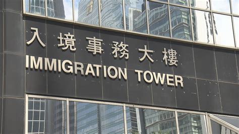 審計報告：入境處須加快處理懷疑假結婚個案 Now 新聞