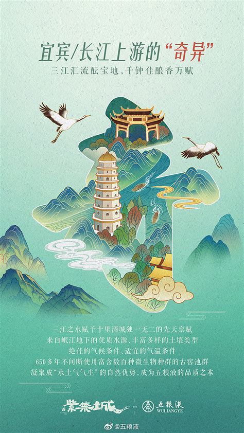 五粮液插画风格营销海报设计 第一视觉
