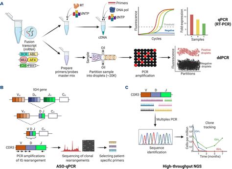 Acute Lymphoblastic Leukemia Laboratory Findings Acute