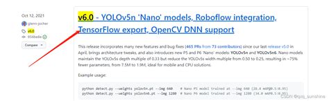yolov5预训练权重下载方法 yolov5权重文件下载 csdn博客