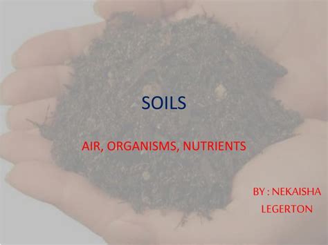 PPT SOILS PowerPoint Presentation Free Download ID