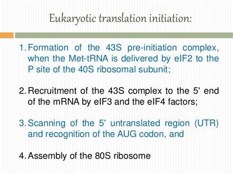 Eukaryotic Translation Initiation And Its Regulation