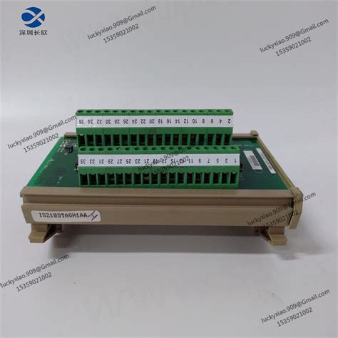 GE IS DTAOH ABA SIMPLEX ANALOG INPUT TERMINAL BOARD Changxin Automation