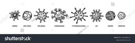 Set Hand Drawn Different Types Viruses Stock Vector Royalty Free