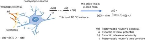 Closed Form Continuous Time Neural Networks Rneuralnetworks