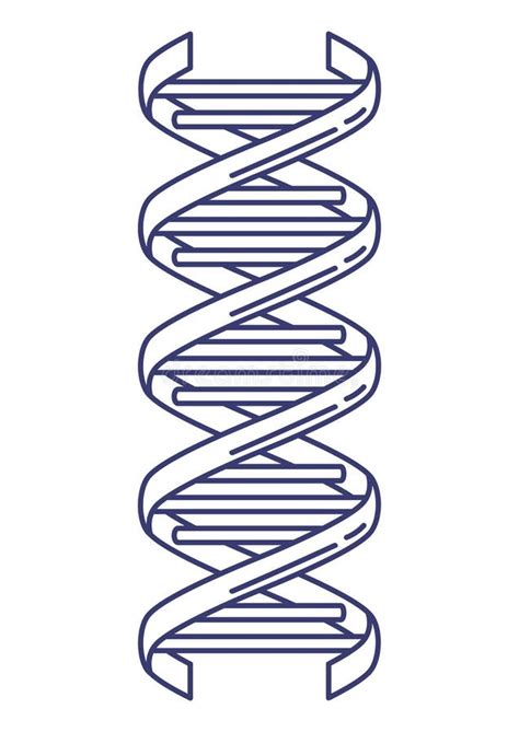 Illustration Of Dna Model Medical And Scientific Item Stock Vector