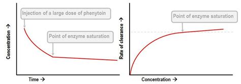 Michaelis Menten Or Saturable Kinetics Phenytoin Clearance Begins As