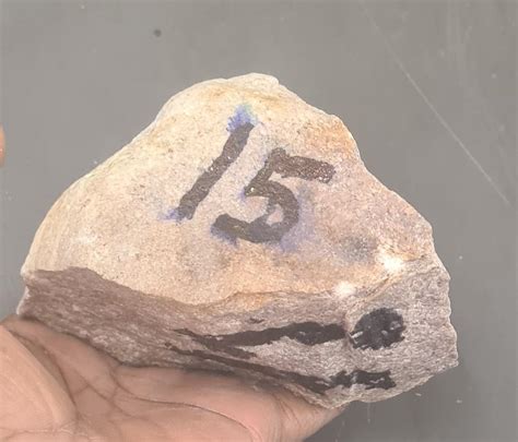 Solved Identify This Rock In Terms Of Type Of Rock Chegg