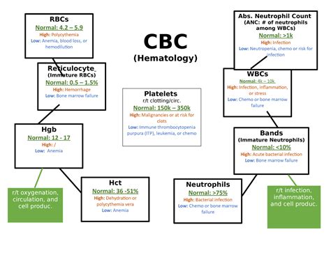 Cbc Labs Cbc Labs Cbc Hematology Abs Neutrophil Count Anc Of
