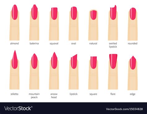 Details 155 Different Kinds Of Nails Super Hot Noithatsi Vn
