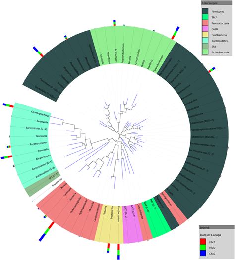 Circular Maximum Likelihood Phylogenetic Tree At Level Of Genus The