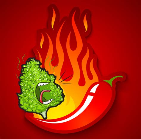 Cannabis Infused Hot Sauce Recipes How High And Hot Do You Like It