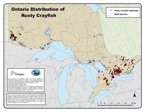 Crayfish Ecosystem ─ Invasive Crayfish Collaboration