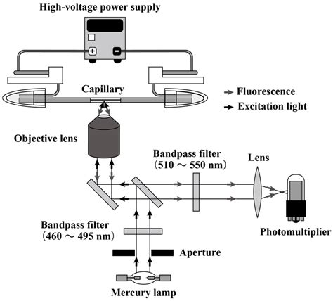 Free Photo Gel Electrophoresis Acids Genetic Sequencing Free