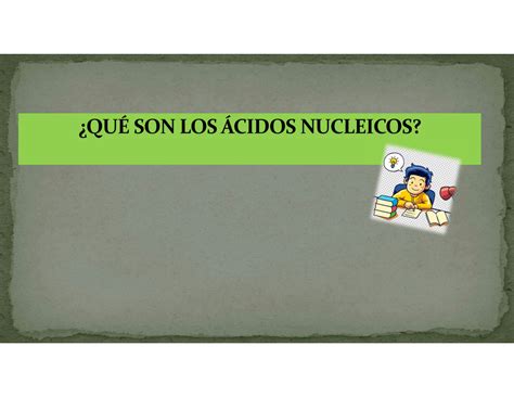 SOLUTION Clase Ac Nucleicos Biolog A 4to Studypool