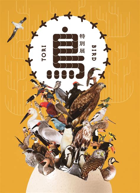名古屋市科学館で3月15日から特別展「鳥」が開催！最新研究で鳥類の魅力を探る｜ベストカレンダー