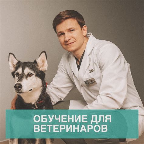 Ветеринарная клиника джунгли Уважаемые врачи ветеринары ⠀ Важная